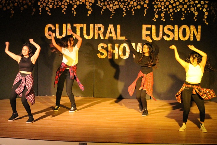 Heston Community School - Cultural Fusion Show 2014