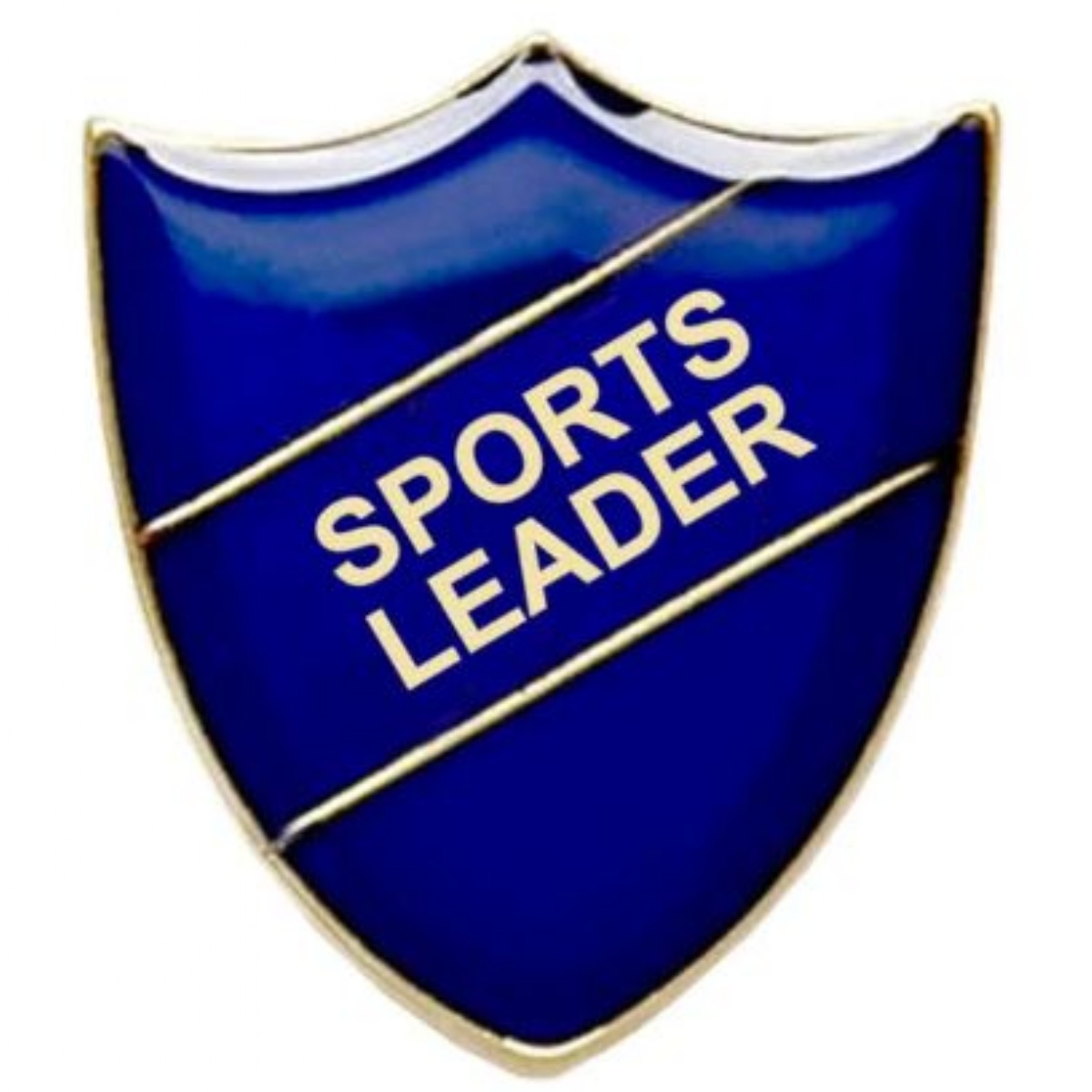 Heston Community School - Heston Sports Leaders - Primary Basketball Event